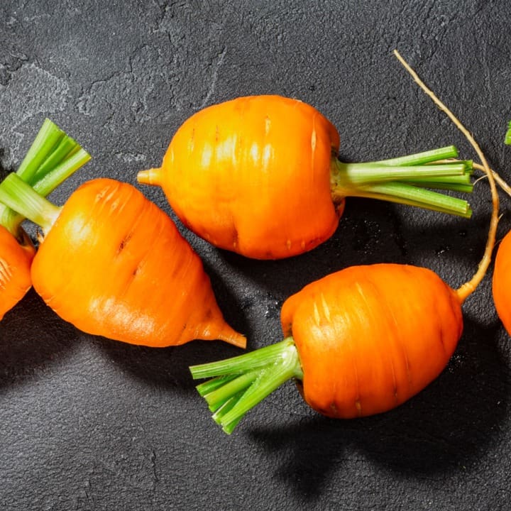 Morot 'Rondo' | Fröer på nätet | Planty.se