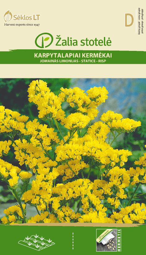 Risp 'Yellow' | Fröer på nätet | Planty.se