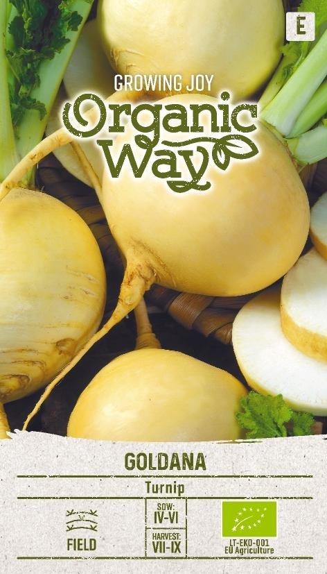 Majrova 'Goldana' Eko | Fröer på nätet | Planty.se