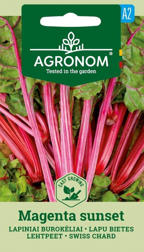 Mangold 'Swiss Magenta Sunset' | Fröer på nätet | Planty.se